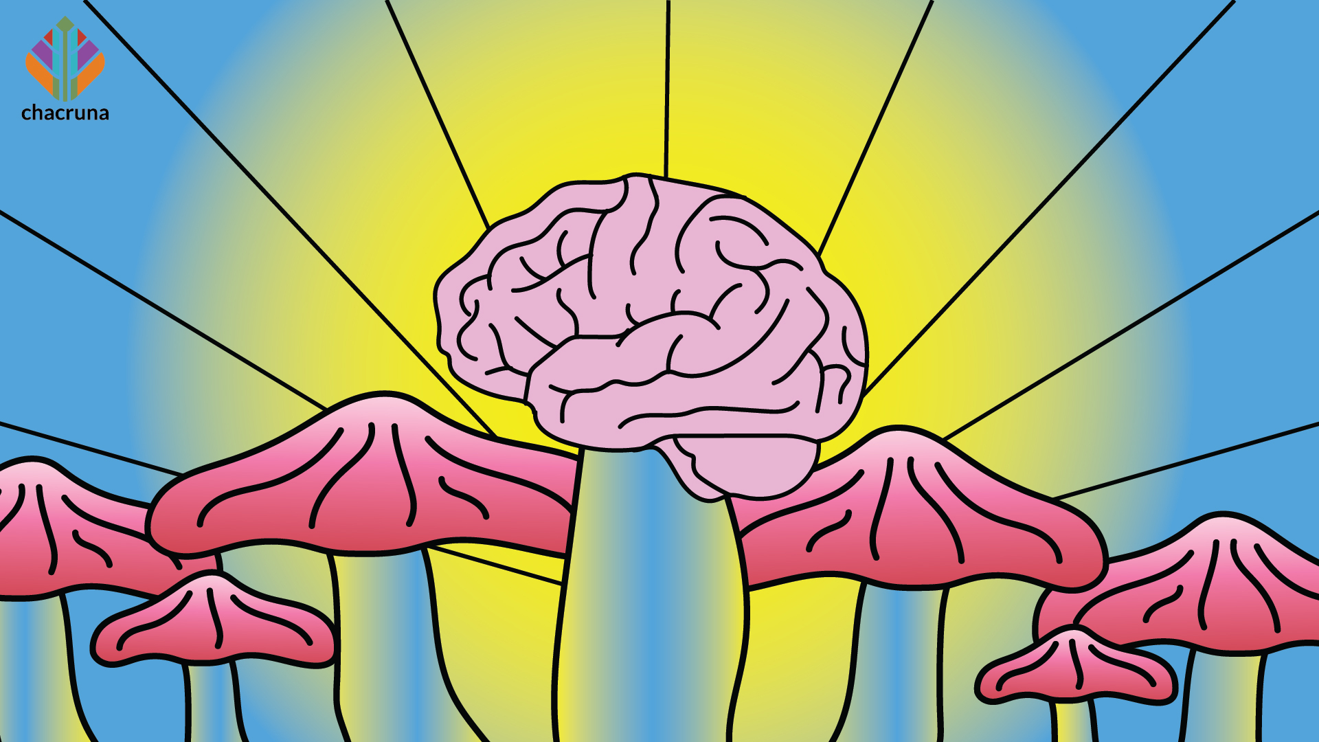 Warning: Oregon Legalized Supported Adult Use of Psilocybin, Not ...